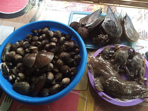 Irish Layaguen Salamat Sa Grasya Ginoo Kinhason