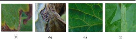 Figure 1 From Recognition Of Tomato Late Blight By Using Dwt And Component Analysis Semantic