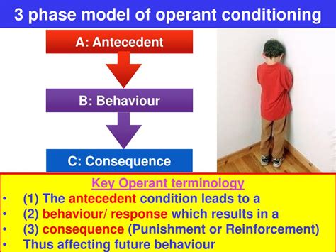 Ppt Operant Conditioning Powerpoint Presentation Free Download Id