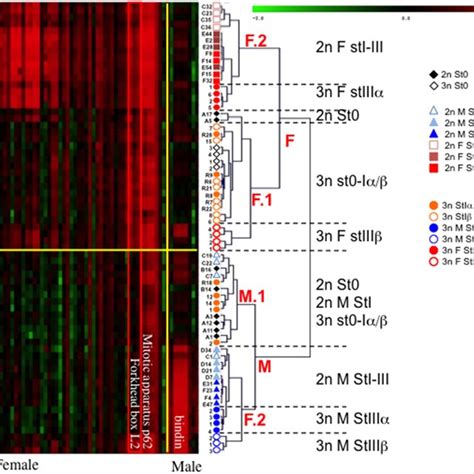 Hierarchical Clustering Using Pearsons Correlation Was Performed Using Download Scientific