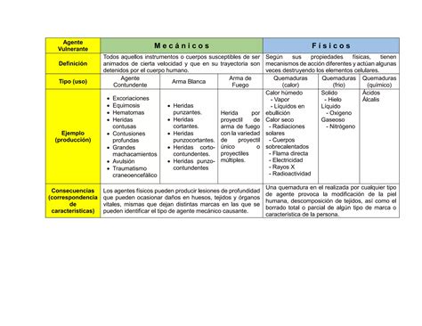 Agente Vulnerantedocx