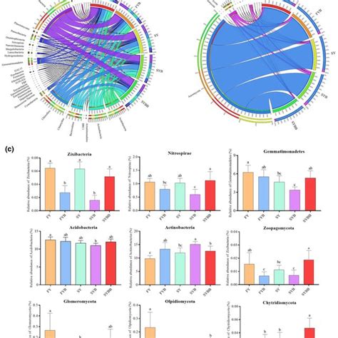 Christopher Rensing Professor Phd Chinese Academy Of Sciences Beijing Cas