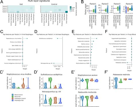 Multi Omic Analysis In Eoe Tamma A Heatmaps Showing The Omics