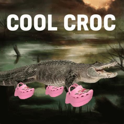 Crocs Cool Croc  Crocs Coolcroc Discover And Share S