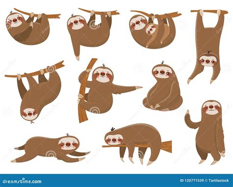Cute Cartoon Sloth Set 70460253