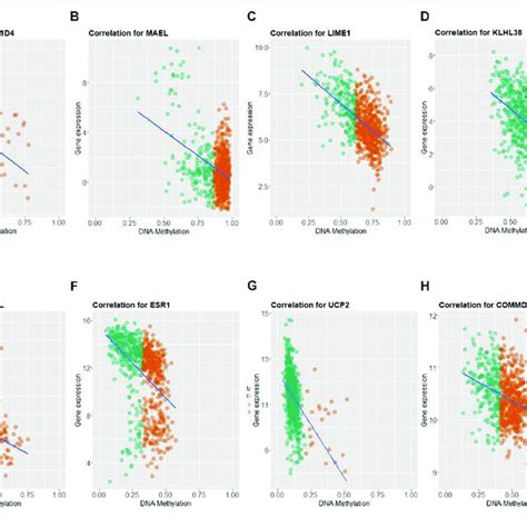 Correlation Between Dna Methylation And Gene Expression Of The Eight Download Scientific