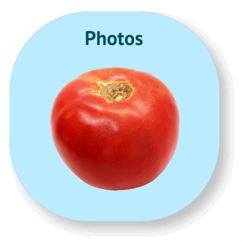 Clear Plastic Field Covering For Solarization Weed Control Ised Solutions