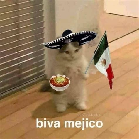 Funny Mexican Cat With Sombrero And Food Bowl Viva Mexico Meme 15 De