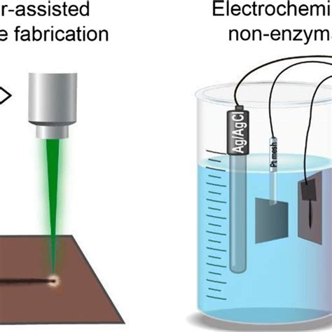 Three Electrodes Electrochemical Cell For Testing Electrocatalytic