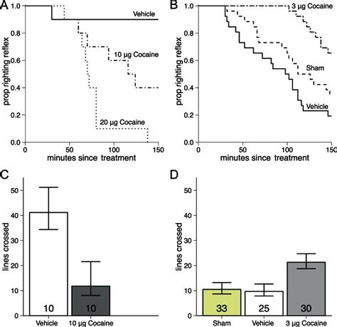 Numbers Indicate Sample Size Per Group A Survival Plot Of Time To Download Scientific Diagram