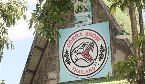 Paddleocr Unveil The Power Of Optical Character Recognition