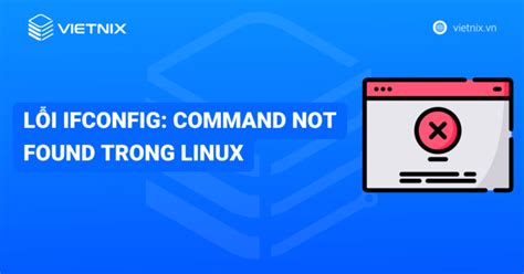 Hướng Dẫn Sử Dụng Lệnh Vi Trong Linux Từ Cơ Bản đến Nâng Cao