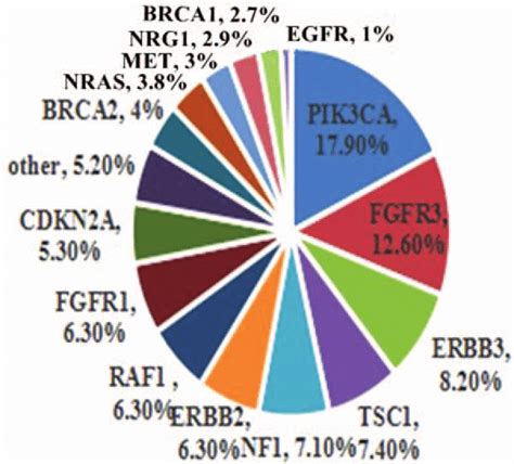 Bladder Cancer Related Gene Mutation Result From Citation Summary The