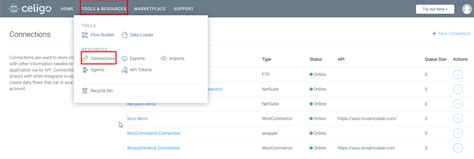 Setup Netsuite Connection In Nova Module Help