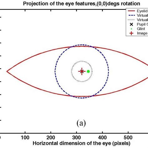 Examples Of Simulated Eye Features A 00 Degrees Of Eye Rotation