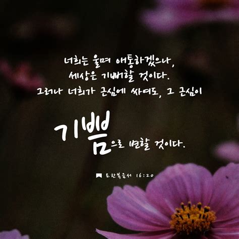 요한복음 1619 24 예수께서 그 묻고자 함을 아시고 가라사대 내 말이 조금 있으면 나를 보지 못하겠고 또 조금 있으면 나를 보리라 하므로 서로 문의하느냐 내가 진실로