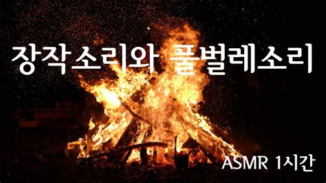 Asmr 장작 타는 소리 풀벌레 소리 1시간 재생 Youtube