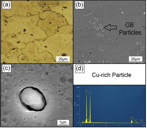 A Lom And B Fesem Micrographs Showing The Microstructure Of The Download Scientific Diagram