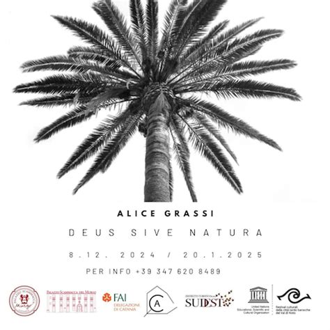 Mostra Deus Sive Natura Palazzo Scammacca Catania