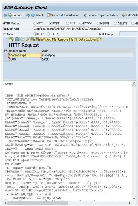 Building Odata Services 20 Media Handling Discovering Abap