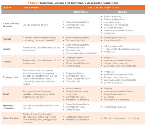 Diagnosing Common Skin Conditions Of Dogs And Cats In Community
