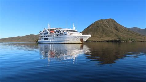 Mark Fifield Posted On Linkedin