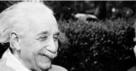 아인슈타인 연애편지 공개 이어 뇌는 일반인처럼 평범했다 주장 눈길