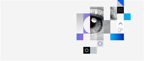 Ibm Verify Privilege Vince Catalli