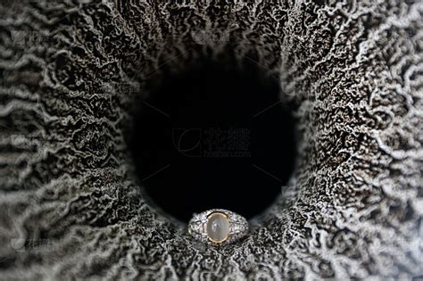 时尚女性珠宝素材 花瓣网