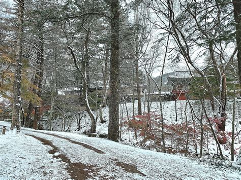 찬민 아무것도 가진 것 없어도 크게 즐기며 살아보자 광음천의 신들처럼 즐거움을 먹으며 살아보자 법구경 주변 사람들을 잘 살펴보면 개개인마다 독특한 특성을 지니고