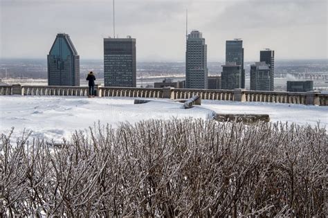 Montreal Skyline In Winter Editorial Photo Image Of Trees 108423951