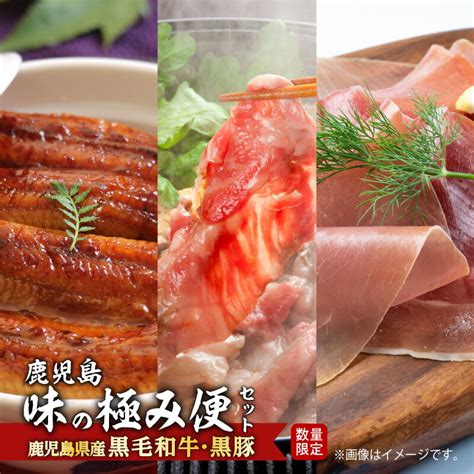 ふるさと納税黒豚黒毛和牛うなぎ鹿児島味の極み便Bすき焼き 黒豚 黒毛和牛 うなぎ すき焼き スライス 送料無料 鹿児島市 鹿児島