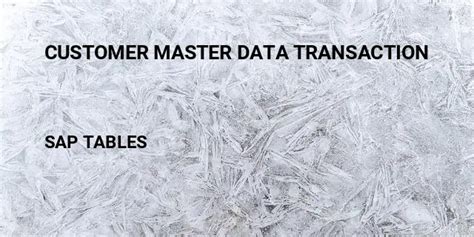 Customer Master Data Transaction Table In SAP