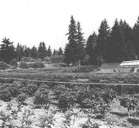 Nurseries Willamette Heritage Center