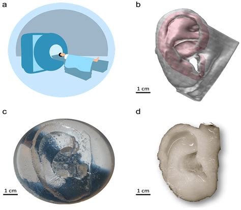New Frontiers In 3d Printing Using Biocompatible Polymers