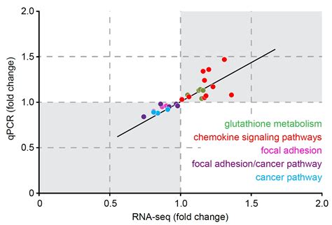 AXIS TRICKS Data In The Spotlight