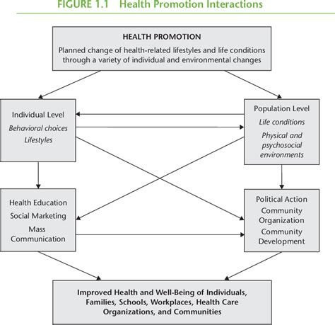 Health Promotion Programs From Theory To Practice Semantic Scholar