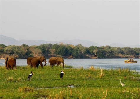 Victoria Falls Luangwa And Lower Zambezi Safari Audley Travel Us