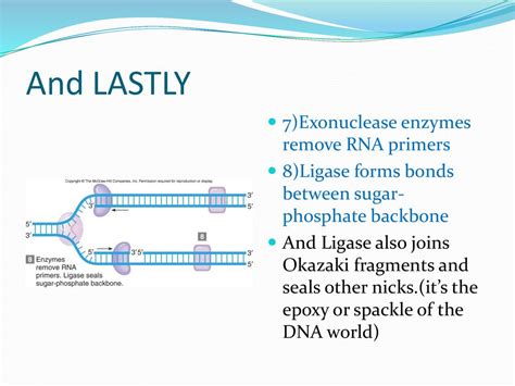 Dna Structure And Replication Ppt Download
