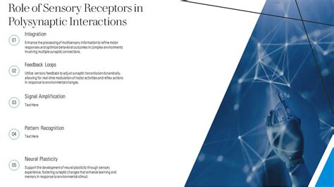 Top 10 Multiple Pathways Powerpoint Presentation Templates In 2025