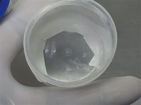 Bal Sample Vs Sputum Sample Key Differences