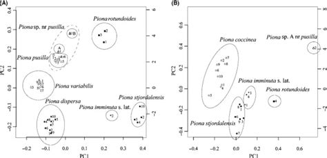 Multivariate Analysis On Measured Morphological Characters From Piona