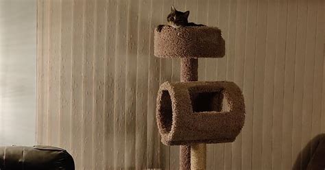 Gozer The Gozerian Album On Imgur