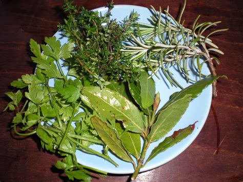 Elrincondeatalaya3 Conejo Con Hierbas Aromáticas