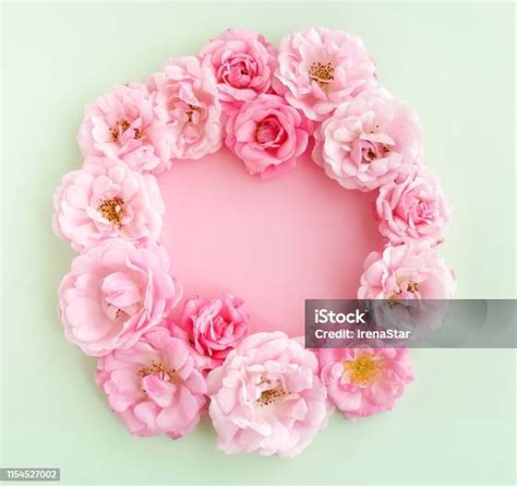 꽃 구성 배경입니다 아름 다운 창백한 분홍색 장미 Whreath 프레임 Circleon 창백한 분홍색 민트 배경 평면도 복사 공간 0명에 대한 스톡 사진 및 기타 이미지