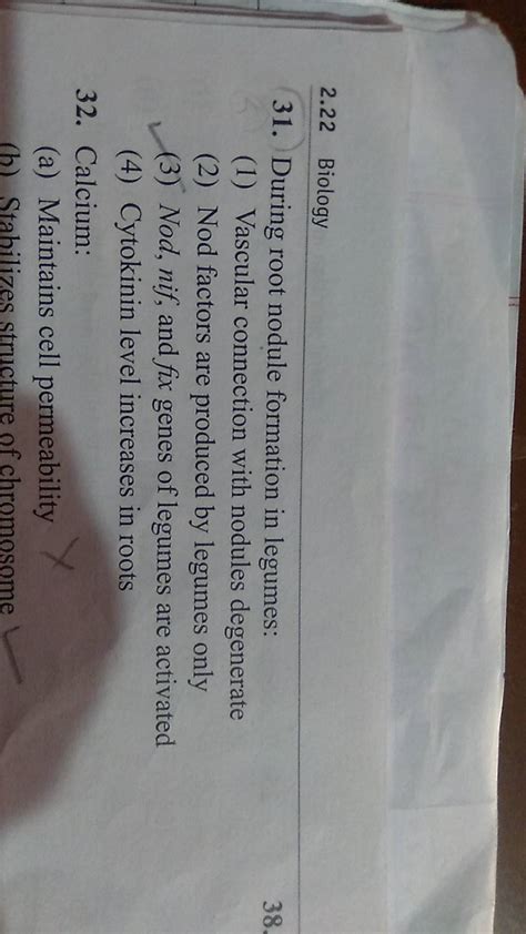 222 Biology 31 During Root Nodule Formation In Legumes Filo