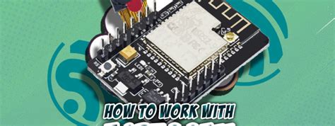 0 Comments 384 Views