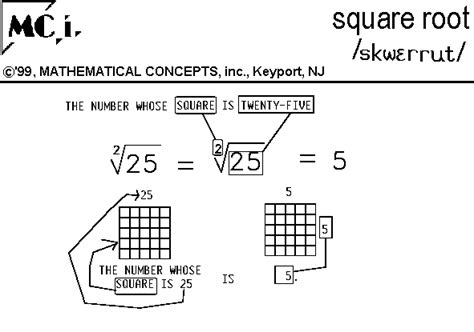 Square Root Definition