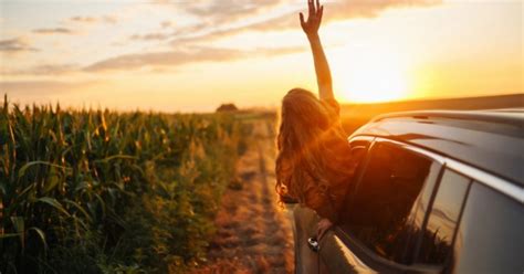 박진영의 사회심리학 감정과 생각 평가하지 않아야 마음이 쉰다