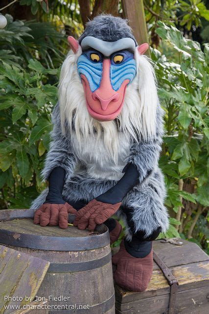 34 Best Disney Rare Characters Images On Pinterest Disney Magic